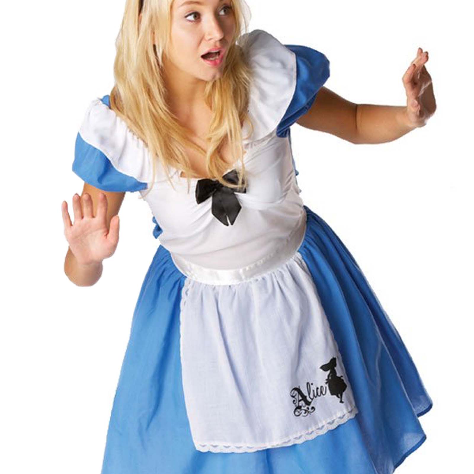 Alice In Wonderland Costume Adult